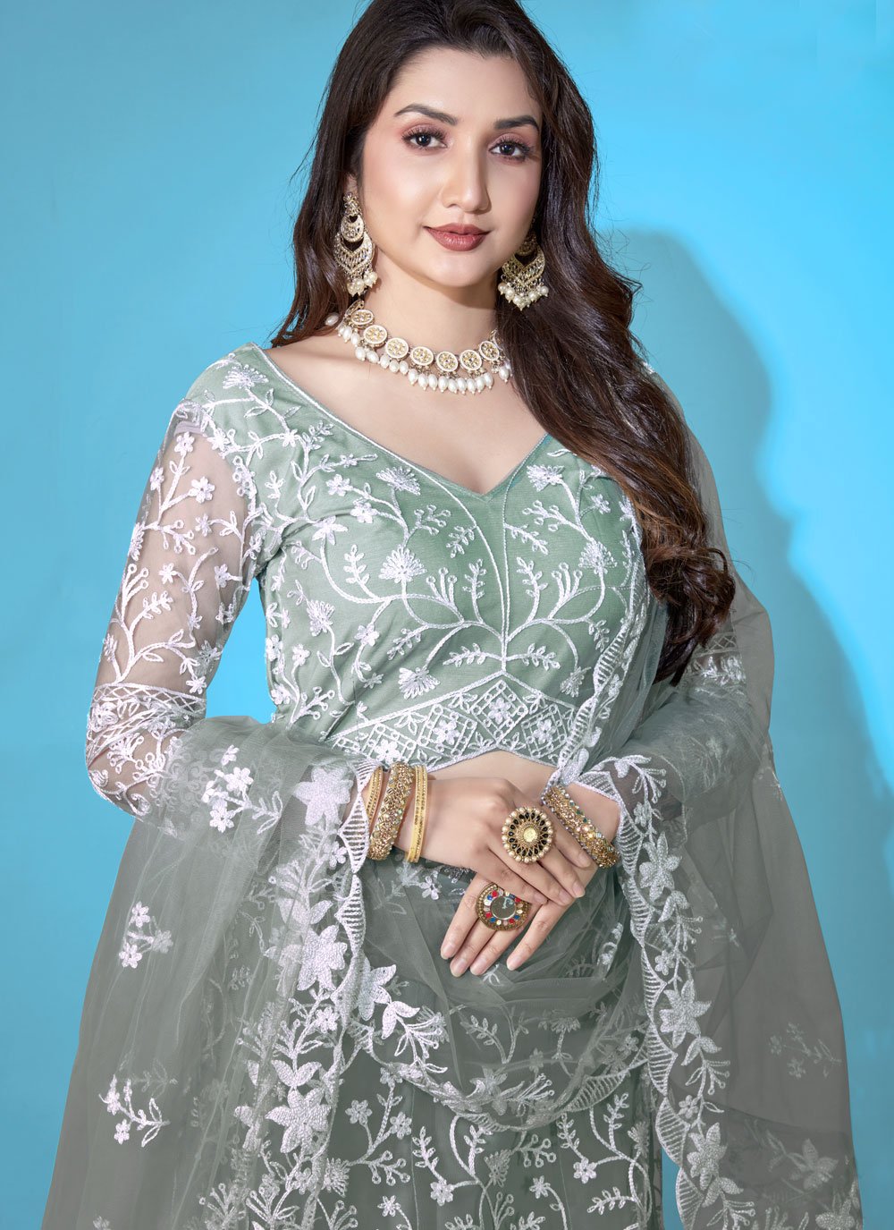 Eye-Catchy Embroidered Net Designer Lehenga Choli